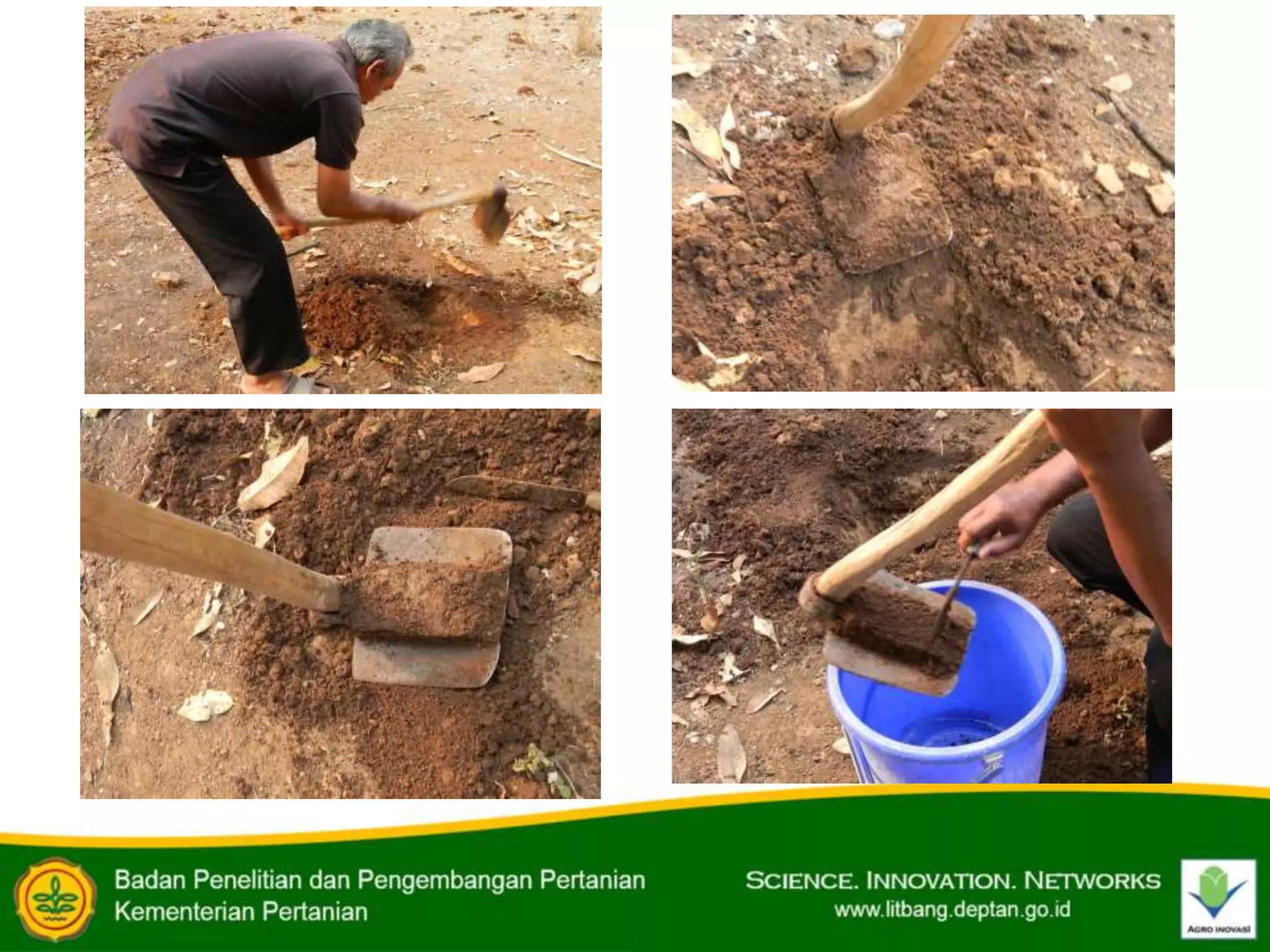 Sampling contoh tanah | PPTX