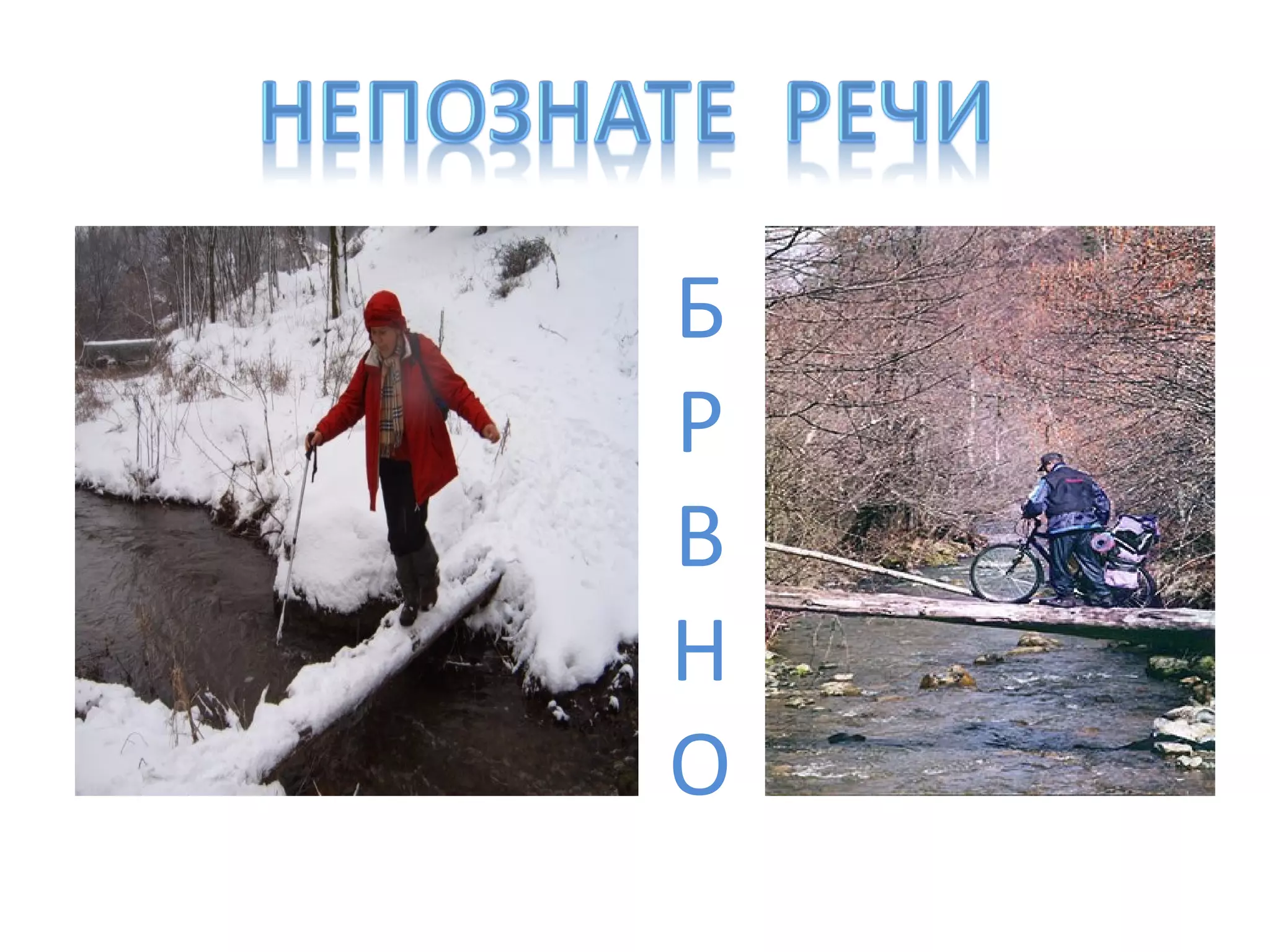 Dva jarca prezentacija za uvodni deo casa | PPT