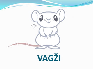 Dvasine lyderyste taisytas ina.ppt