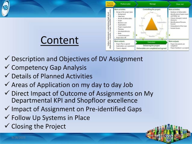 DV Assignment Presentation Template.pptx