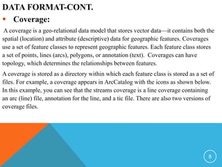 Raster data and Vector data | PPTX