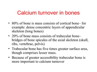 Calcium homeostasis: PTH, calcitonin and vitamin D3 | PPT