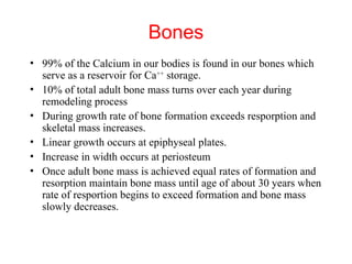 Calcium homeostasis: PTH, calcitonin and vitamin D3 | PPT