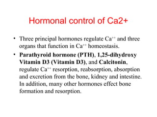 Calcium homeostasis: PTH, calcitonin and vitamin D3 | PPT