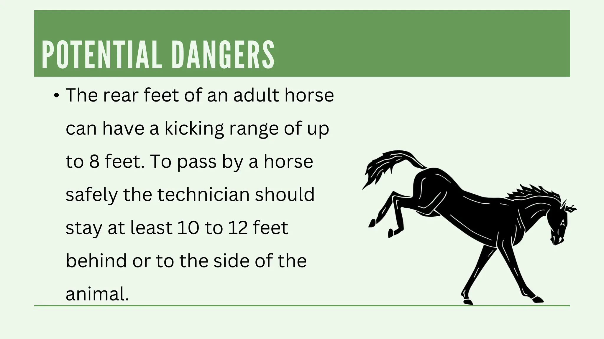 DVM2D-HORSE-Handling-Restraining-Procedures.pdf