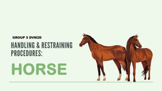 DVM2D-HORSE-Handling-Restraining-Procedures.pdf