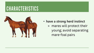 DVM2D-HORSE-Handling-Restraining-Procedures.pdf