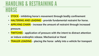DVM2D-HORSE-Handling-Restraining-Procedures.pdf