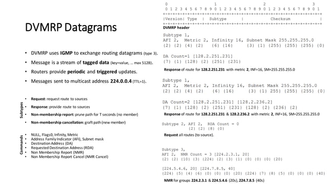 Distance Vector Multicast Routing Protocol (DVMRP) : Presentation | PDF
