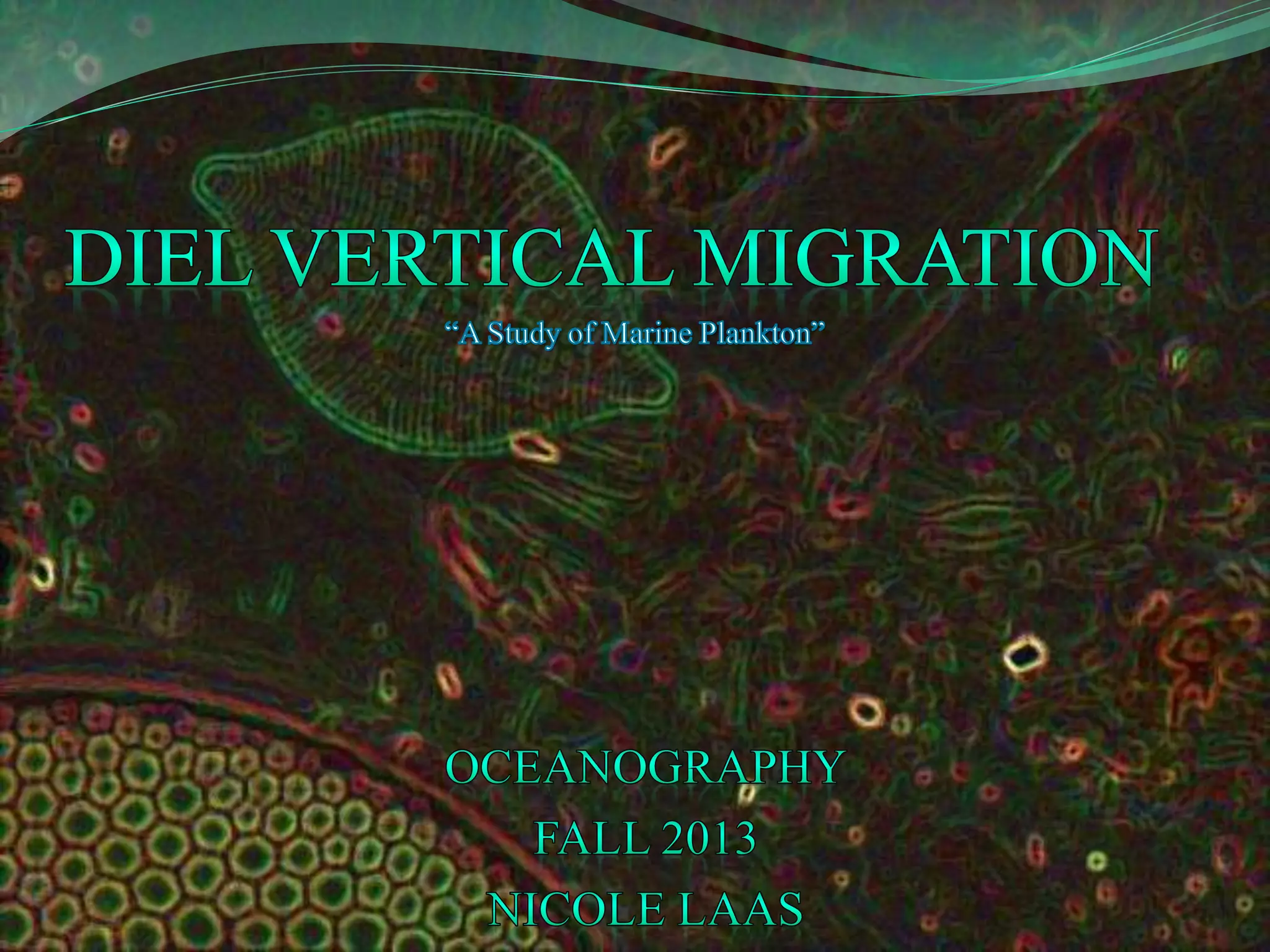 Diel Vertical Migration - "A Study of Marine Plankton" | PPTX