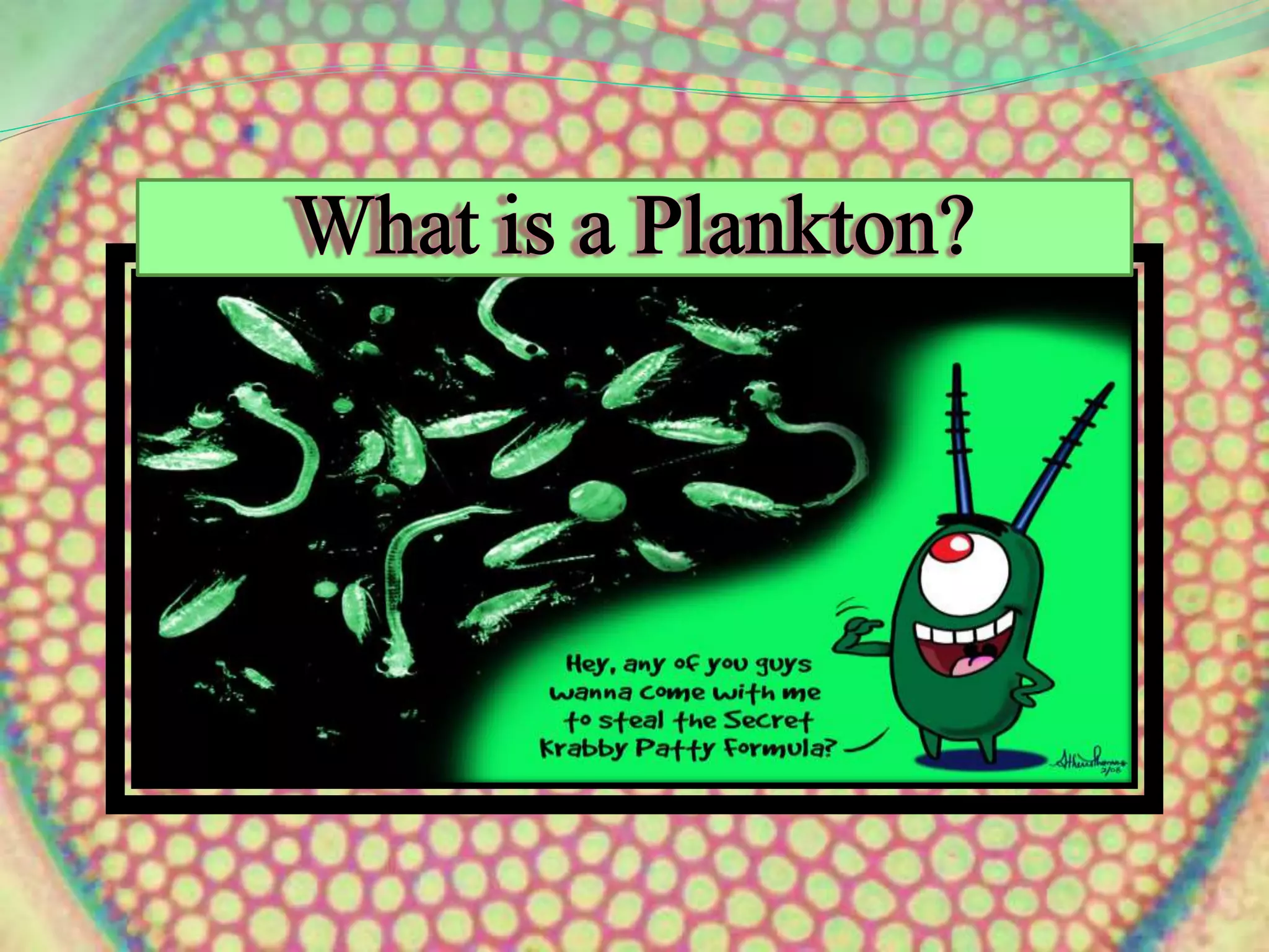 Diel Vertical Migration - "A Study of Marine Plankton" | PPTX