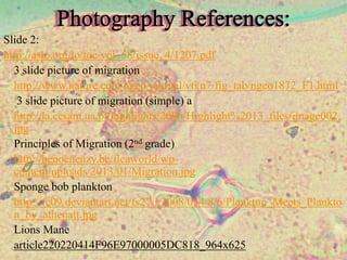 Diel Vertical Migration - "A Study of Marine Plankton" | PPTX ...