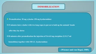 CHEMICAL IMMOBILIZATION AND ANAESTHETIC PROTOCOLS FOR WILD HERBIVORES ...
