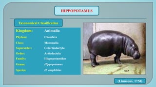 CHEMICAL IMMOBILIZATION AND ANAESTHETIC PROTOCOLS FOR WILD HERBIVORES ...