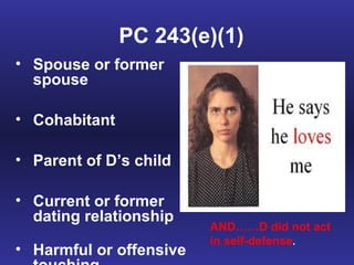 Investigation & Prosecution of Domestic Violence | PPT