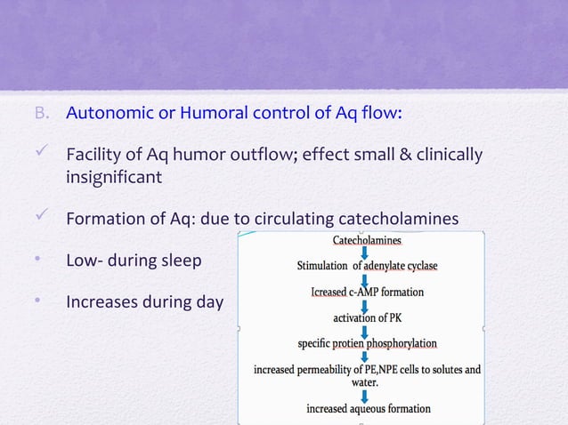 Importance of diurnal variation | PPT | Eye and Vision Conditions ...