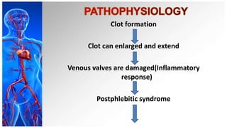 DVT and Vericose Vein and it causes and treatment | PPTX