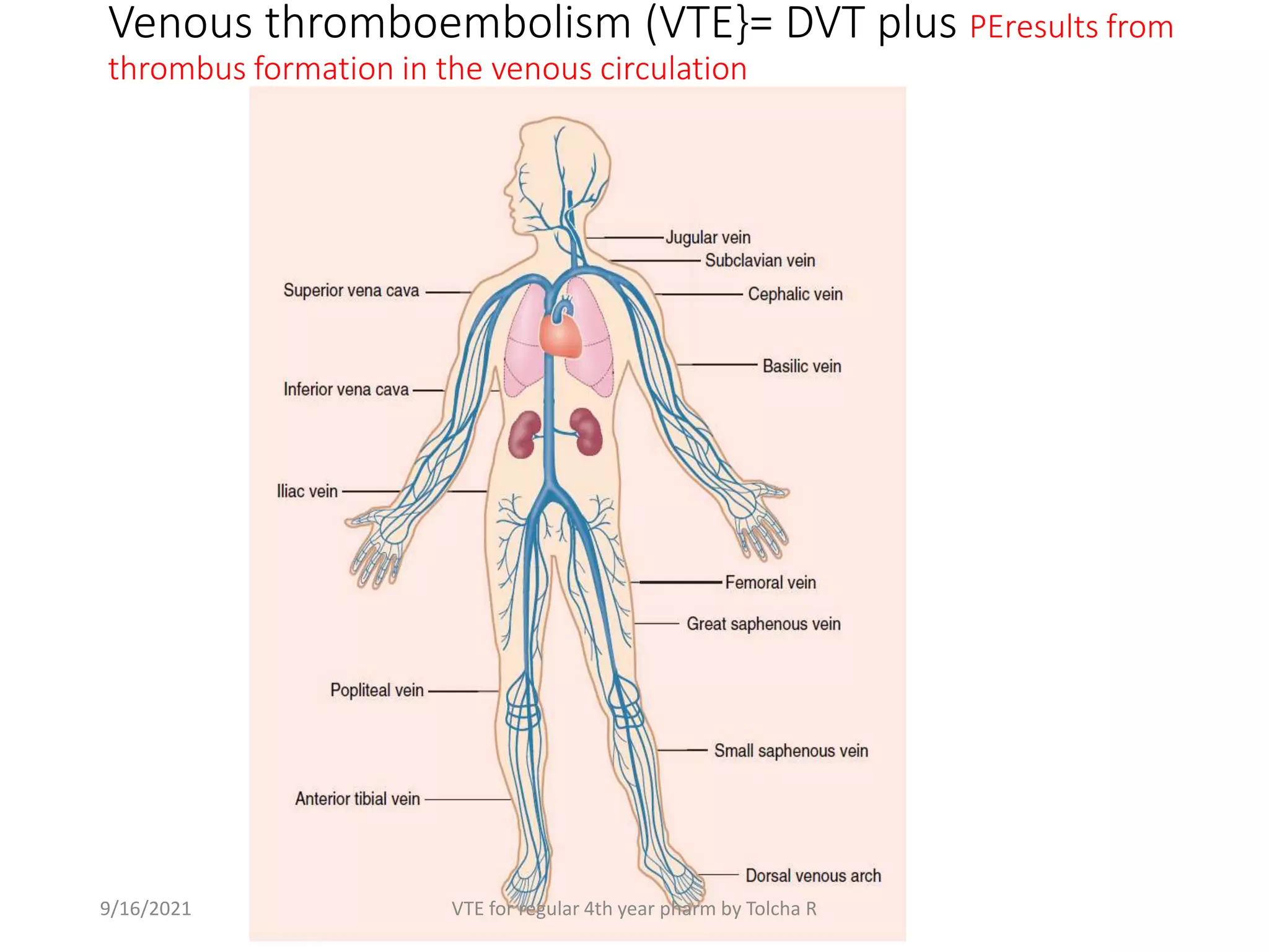 Pharmacotherapy of Venous thrombo embolism | PPTX