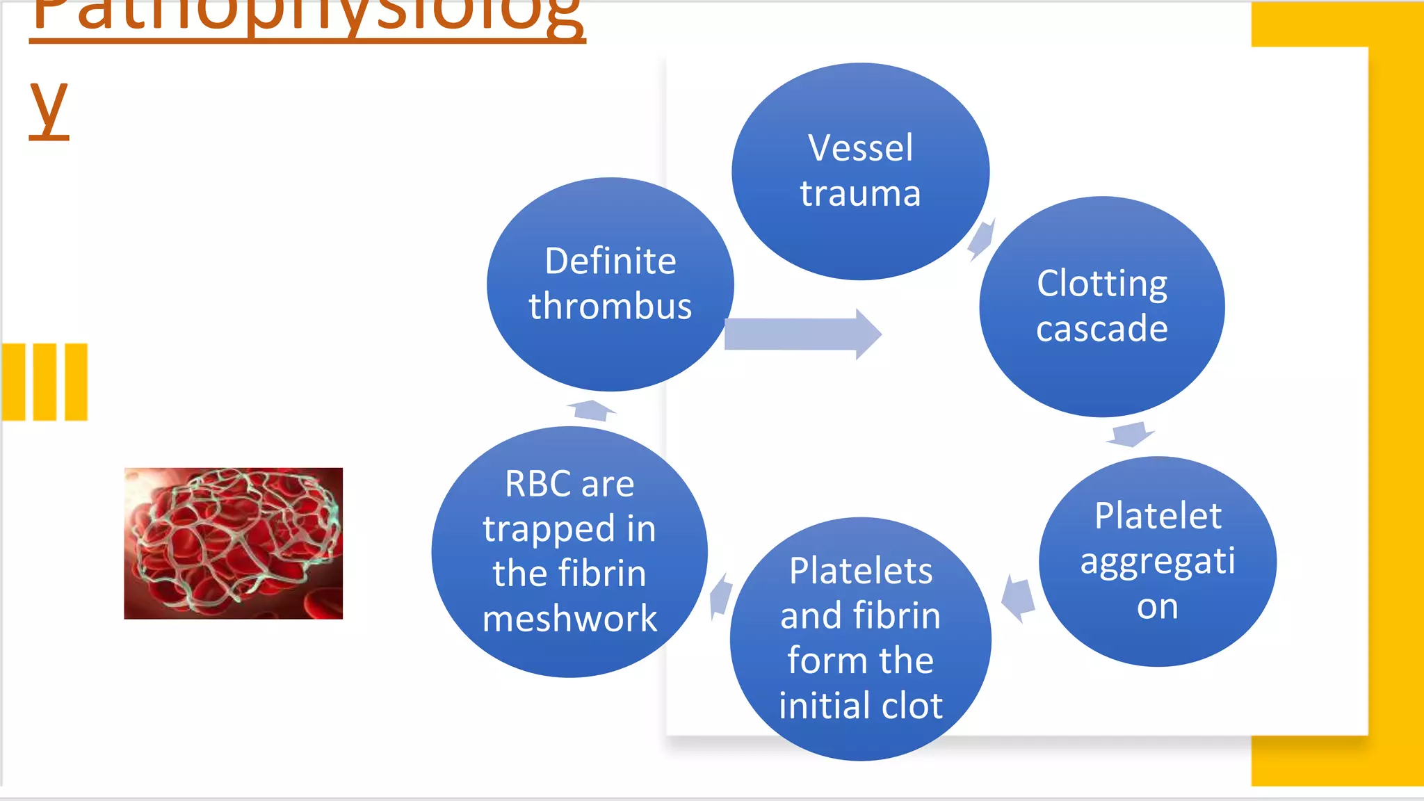 Dvt prophylaxis in orthopaedic surgery | PPTX