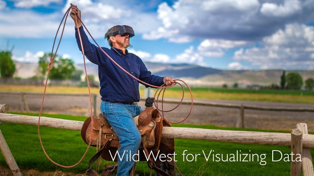 DVX: Data Visualization Experiences | PDF