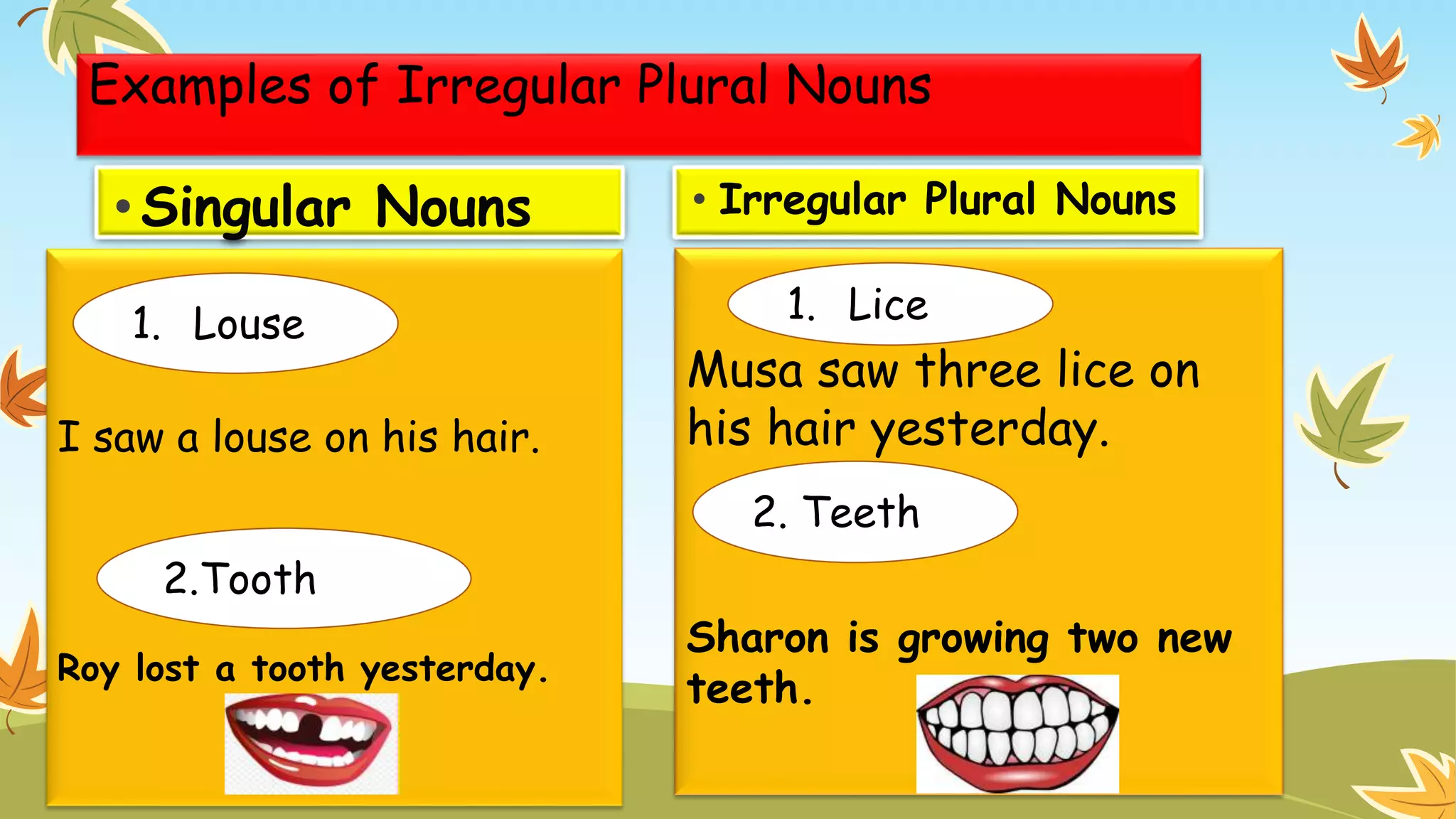 Irregular Plural Nouns | PPT