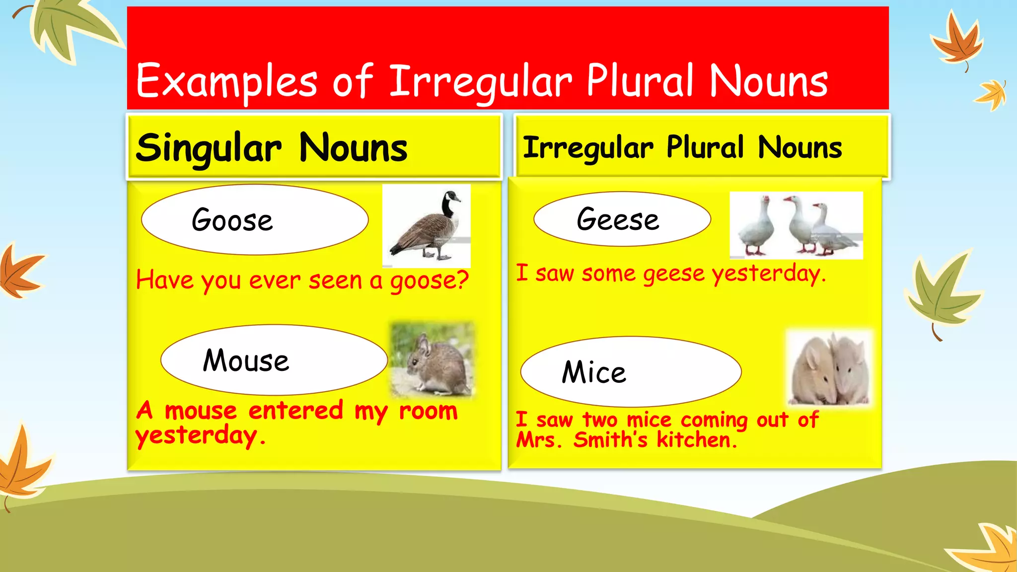 Irregular Plural Nouns | PPTX