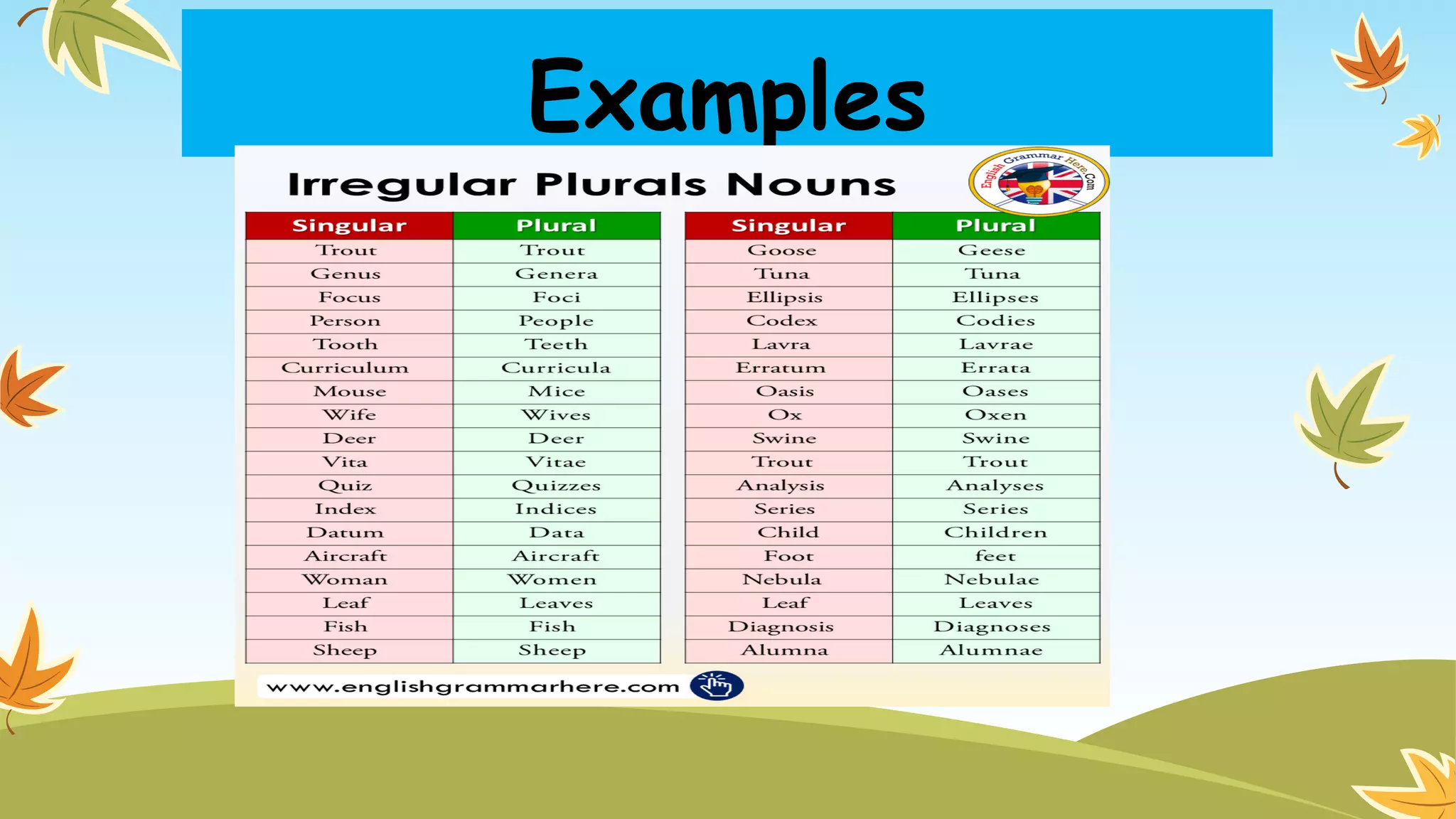 Irregular Plural Nouns | PPT