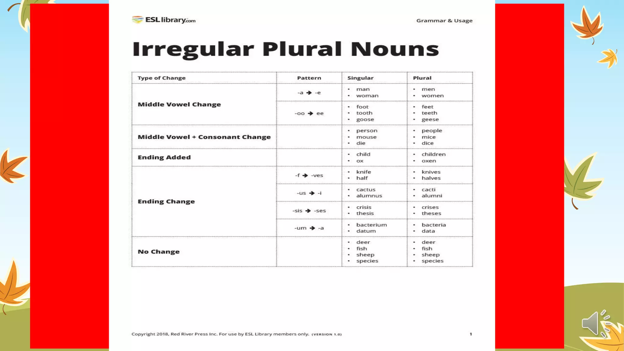 Irregular Plural Nouns | PPT