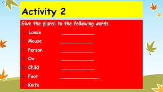 Irregular Plural Nouns | PPTX