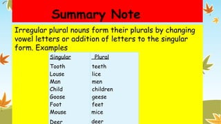 Irregular Plural Nouns | PPTX