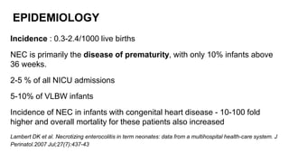 necrotising enterocolitis | PPTX