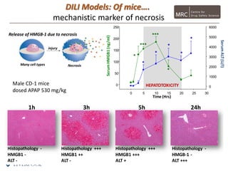 Dw Acs San Diego 3 | PPT