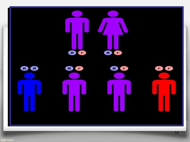 DWARFISM,GIGANTISM and sign symptoms,causes | PPT