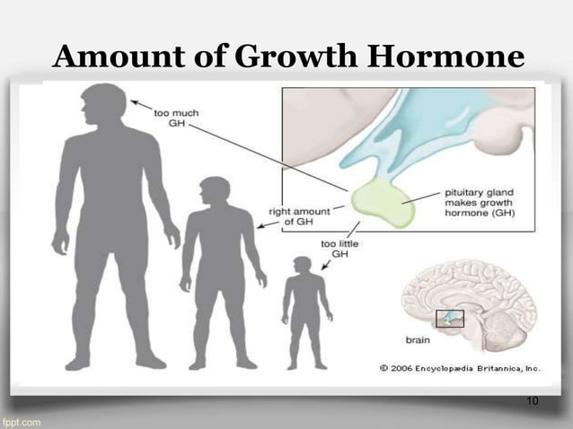 Dwarfism, Gigantism and Acromegaly, Educational Platform.ppt ...