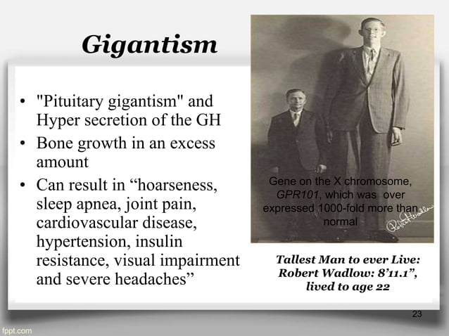 Dwarfism, Gigantism and Acromegaly, Educational Platform.ppt