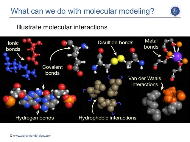 What Can You Learn From Molecular Modeling