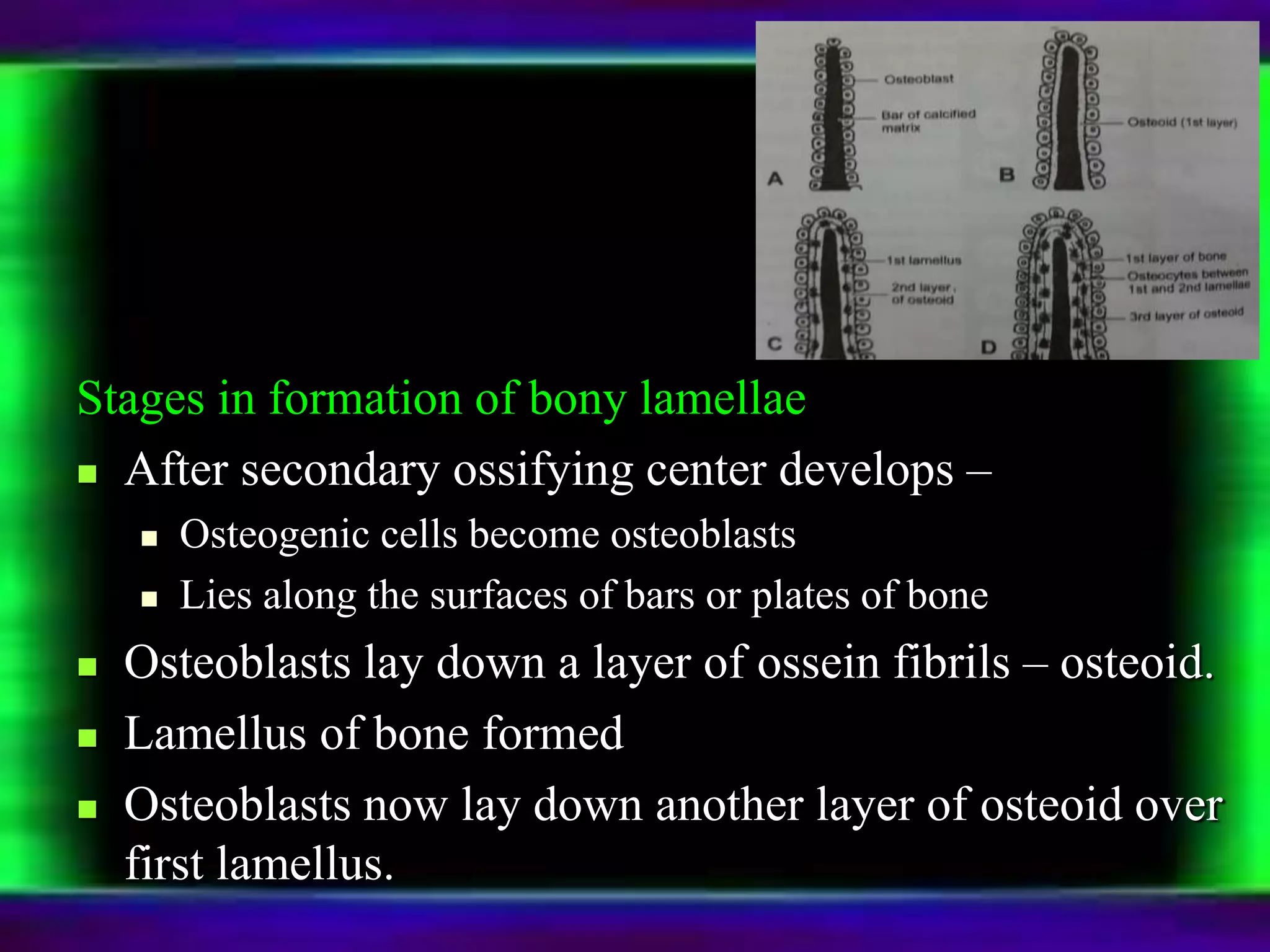 Dwij physiology of bone | PPTX