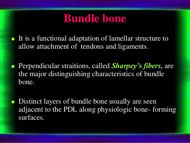 Dwij physiology of bone