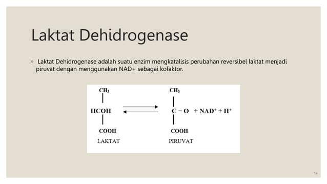 Pemeriksaan CKMB CK LDH- Responsi kuliah.pptx