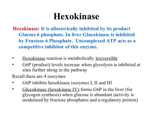 13 Biochemistry _ Glycolysis