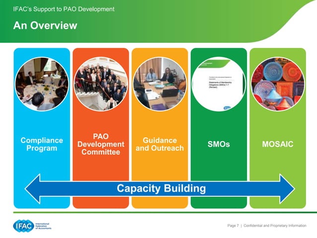 Realizing the Power of PAOs: IFAC’s Capacity Building Agenda | PPTX
