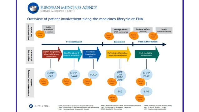 Day 2: Rare Disease & Drug Access Pathway | PDF