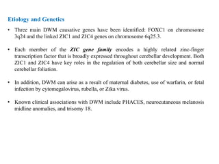 Dandy-Walker Malformation: Classification and Management | PPTX