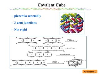 DNA mediated self assembly and structures | PPT