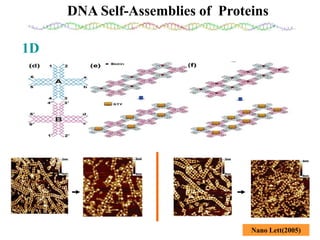 DNA mediated self assembly and structures | PPT
