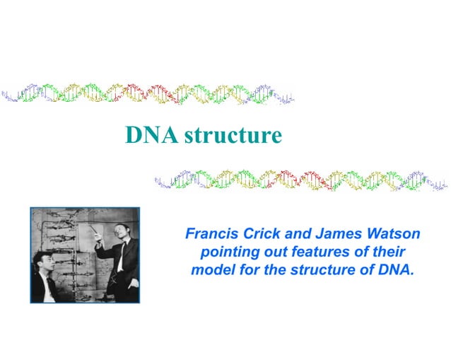 DNA mediated self assembly and structures | PPT