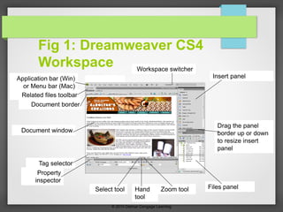 DW Unit 1.pdf