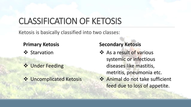 Diagnosis and Treatment of Ketosis | PPT