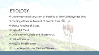 Diagnosis and Treatment of Ketosis | PPTX