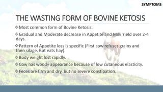 Diagnosis and Treatment of Ketosis | PPTX